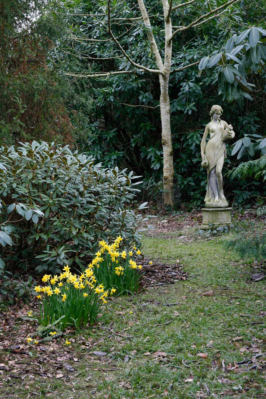 How to Use Perspective in Nature and Wildlife Photography - Nature TTL