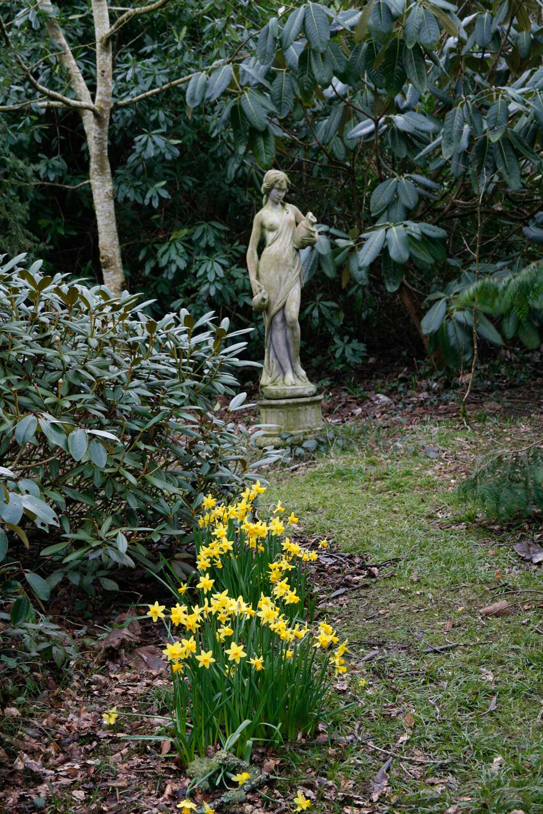 How to Use Perspective in Nature and Wildlife Photography - Nature TTL