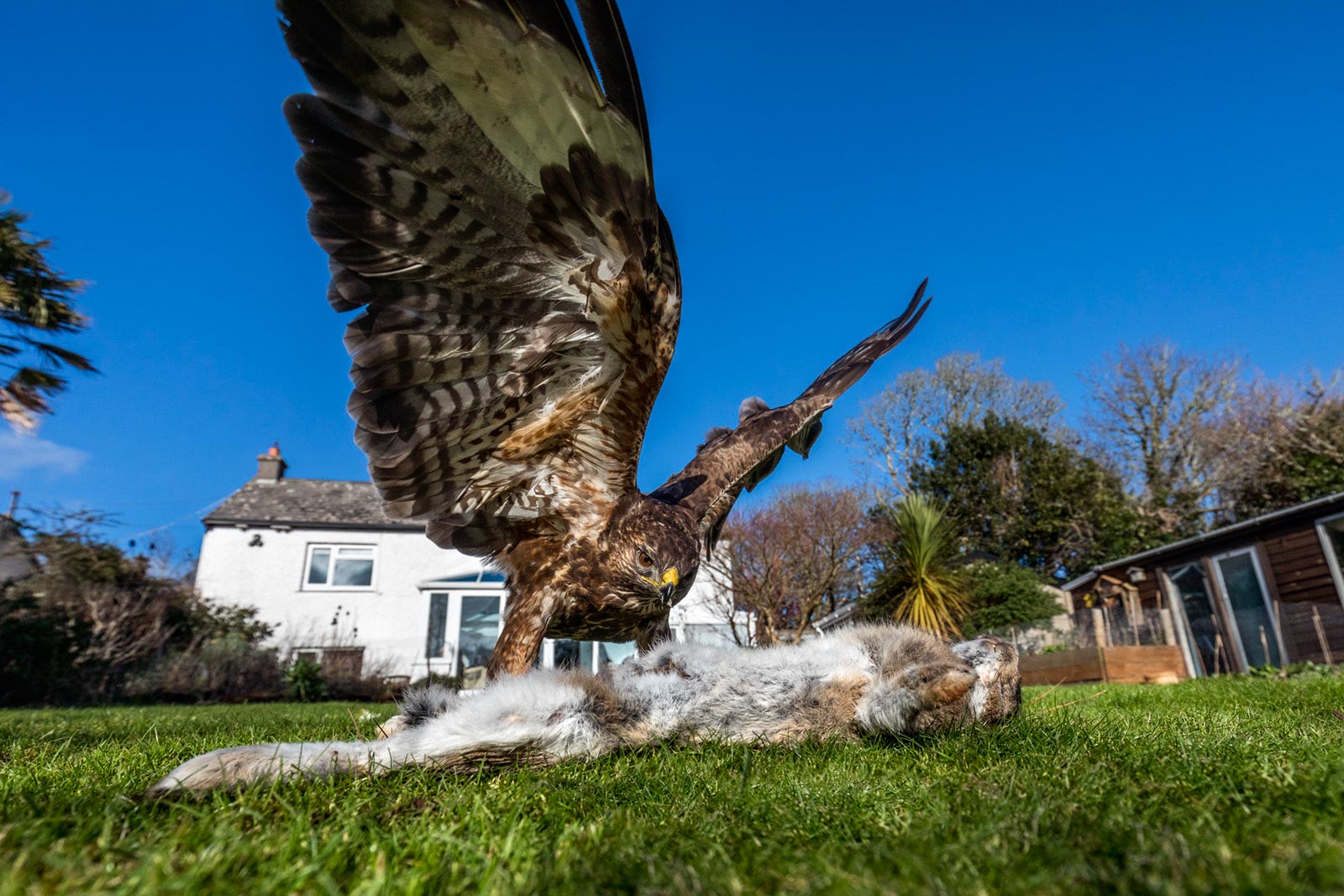 How to Use Perspective in Nature and Wildlife Photography - Nature TTL