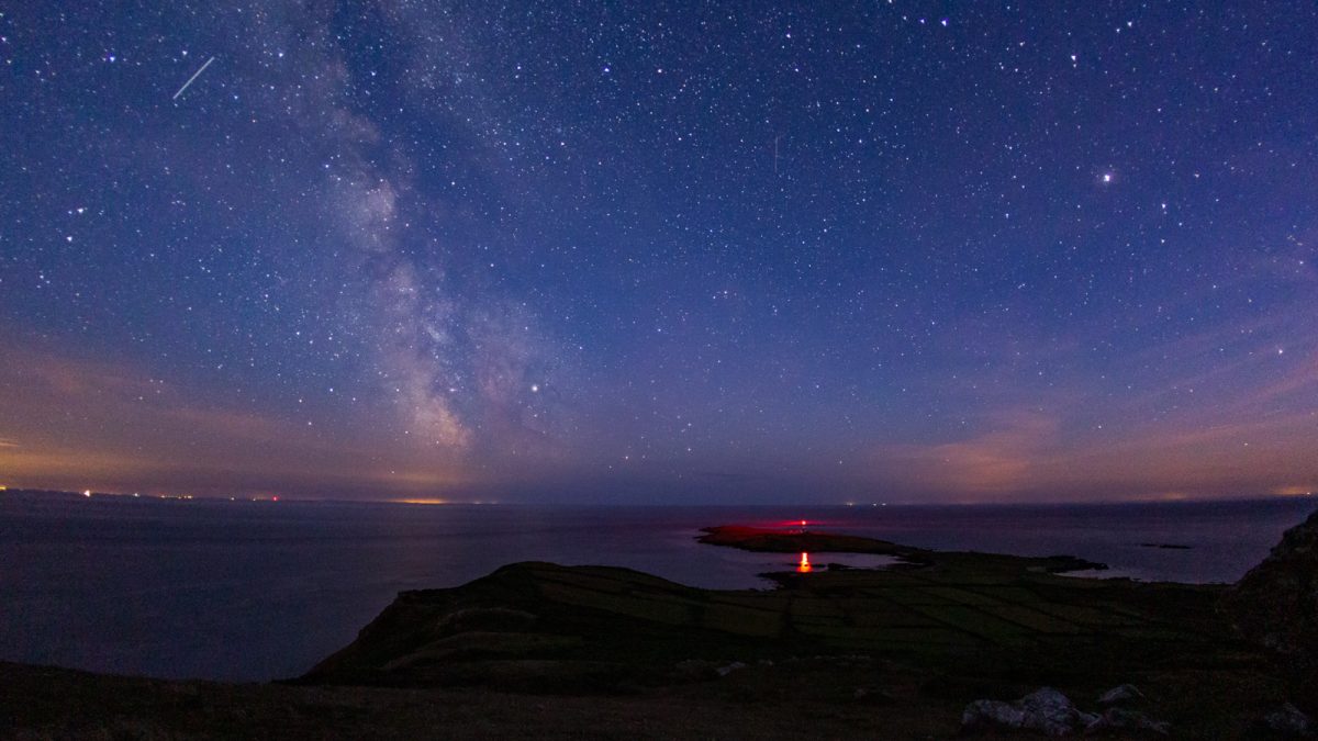 How to Photograph Manx Shearwaters - Nature TTL