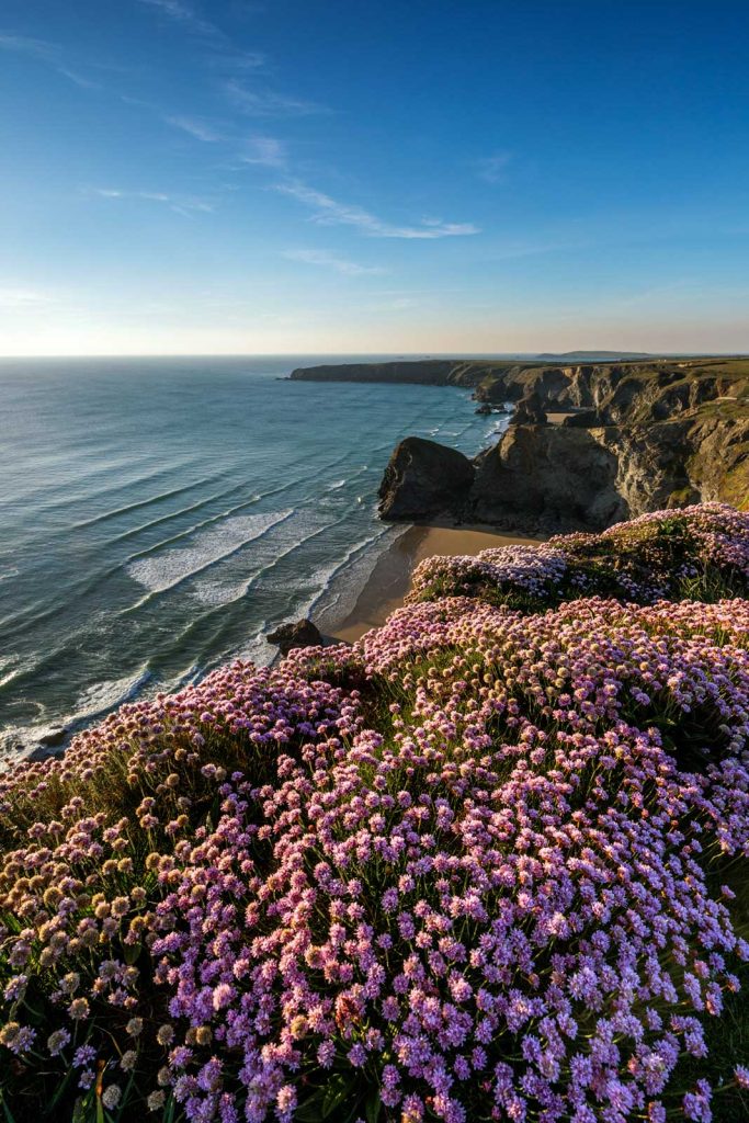 Nature Photography Inspiration for Spring - Nature TTL