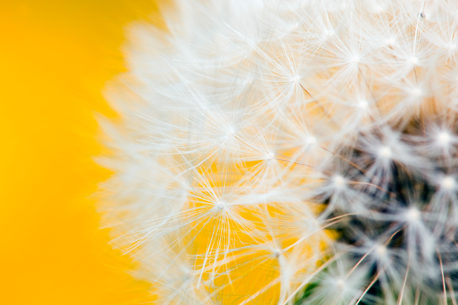 Nature Photography Inspiration for Spring - Nature TTL