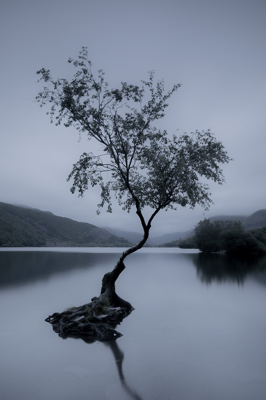 How to Photograph Lone Tree Landscapes - Nature TTL