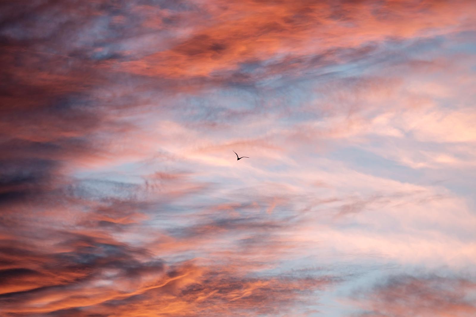 Weekly Photography Assignment: The Sky - Nature TTL