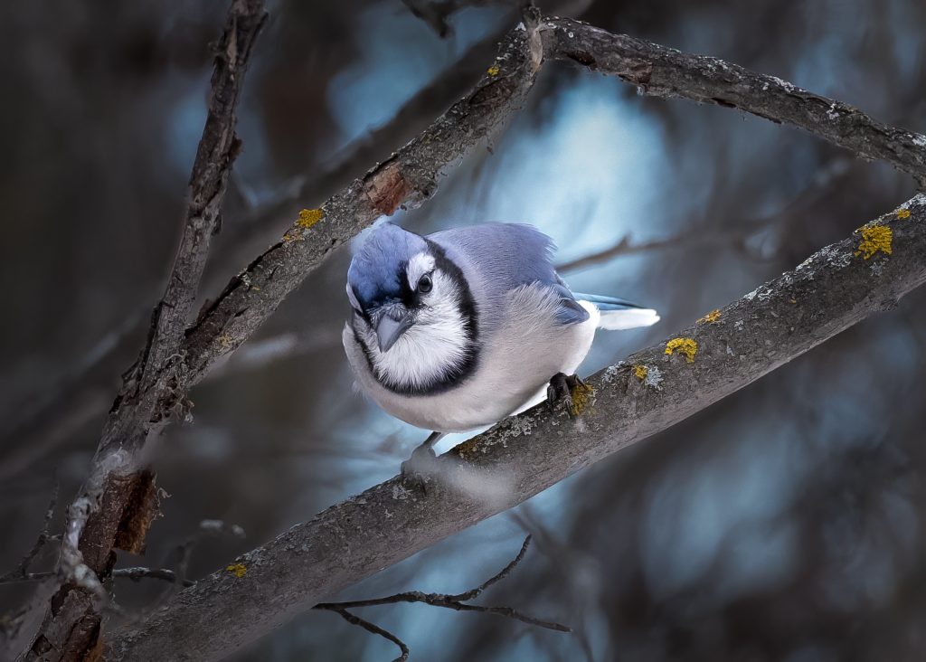 Weekly Photography Assignment: The Sky - Nature TTL