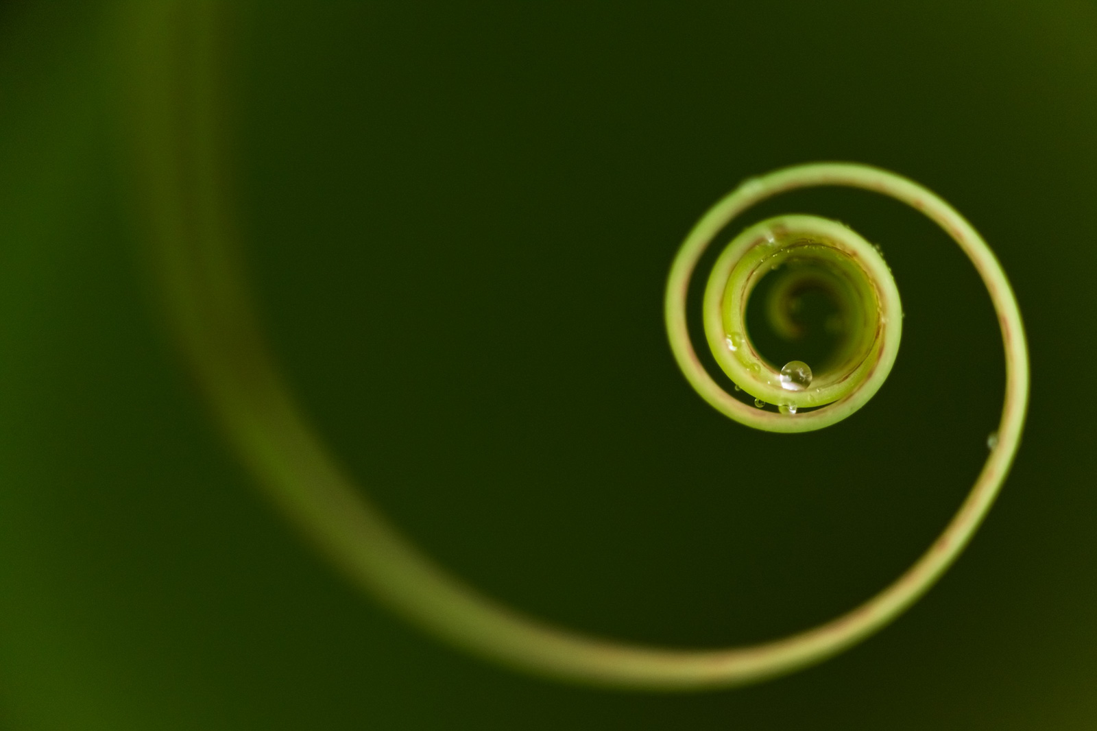 10 Ways to Photograph Water - Nature TTL