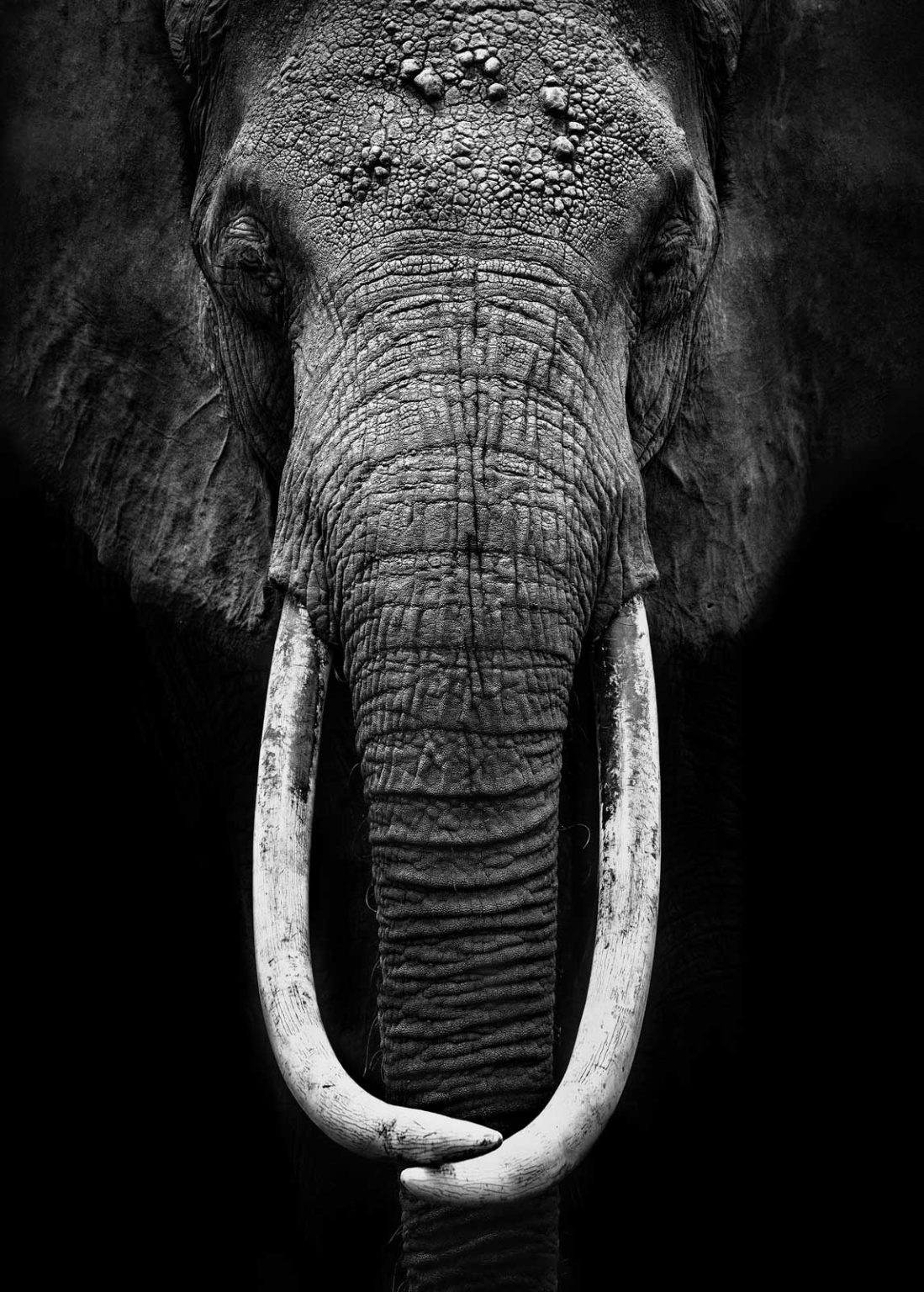 Marina Cano: 25 Years Behind the Camera - Nature TTL