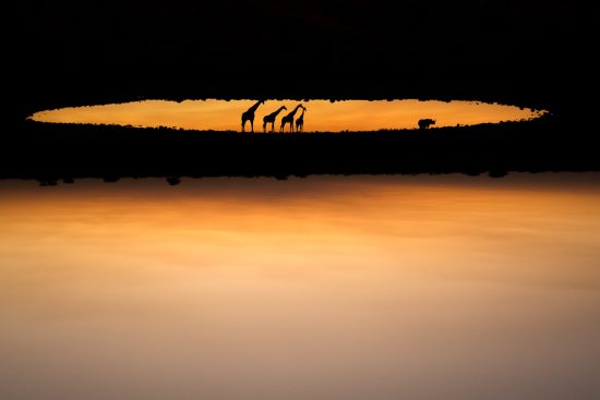 Marina Cano: 25 Years Behind the Camera - Nature TTL