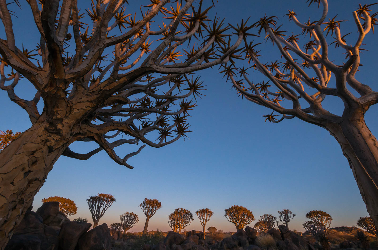 How to Plan a Photography Trip to Namibia - Nature TTL
