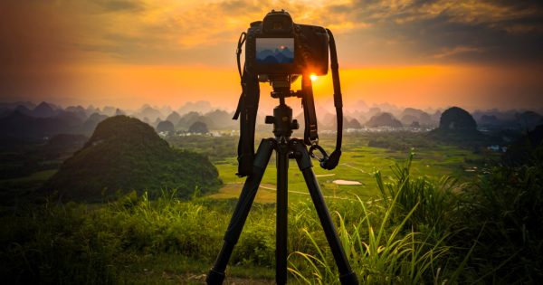 What Is Focus Stacking in Photography? - Nature TTL