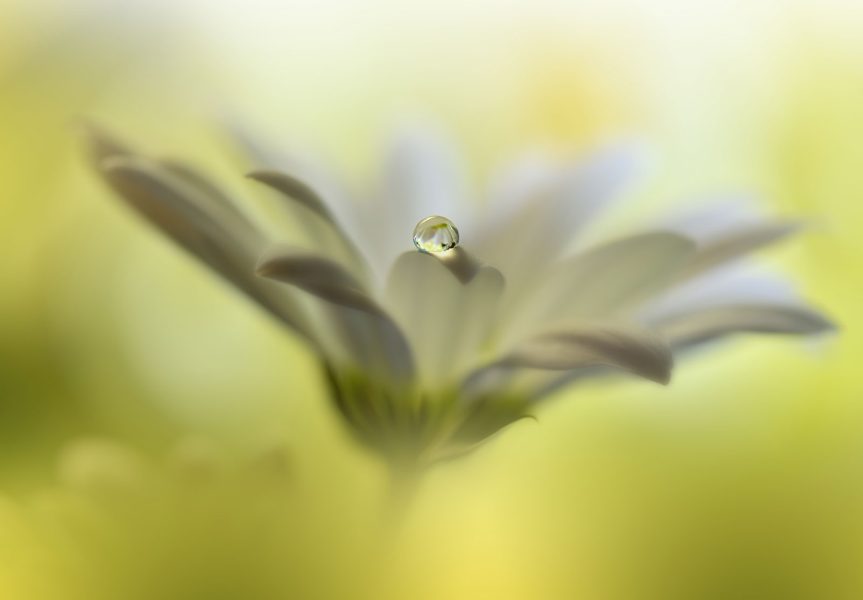 6 Ideas to Boost Your Creativity in Photography - Nature TTL