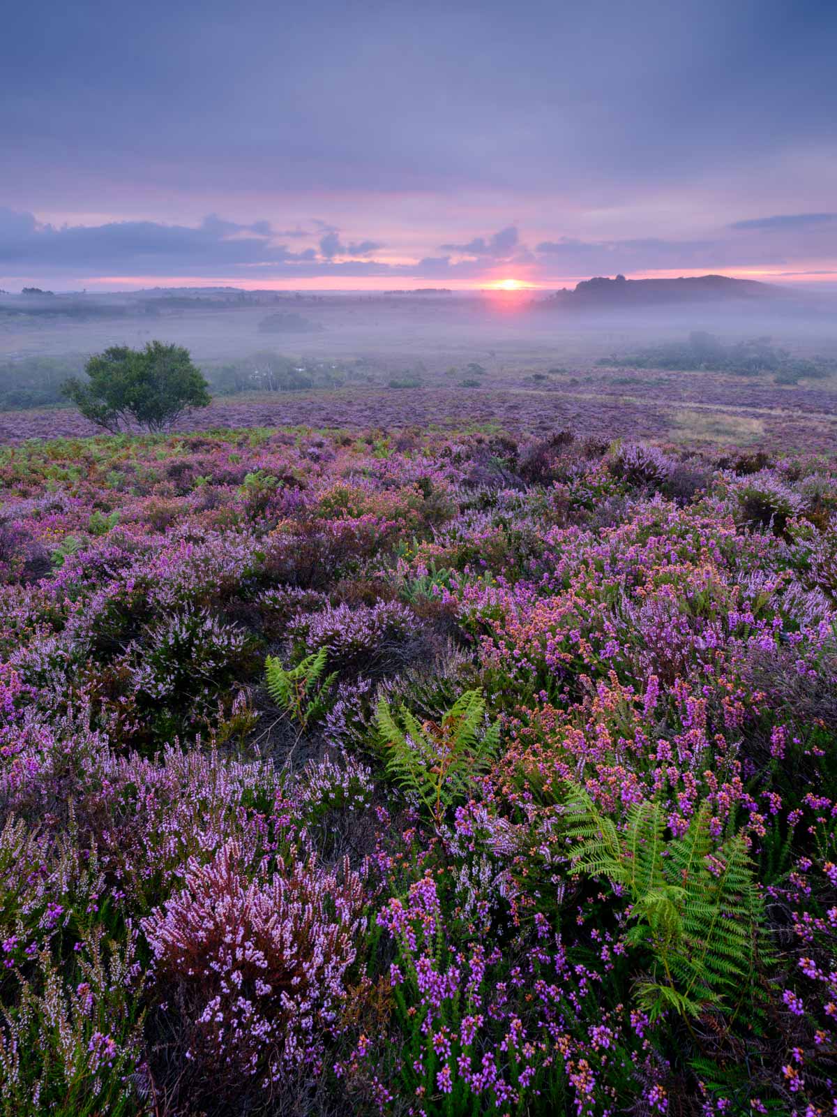 How to Use a Wide-angle Lens for Landscape Photography - Nature TTL