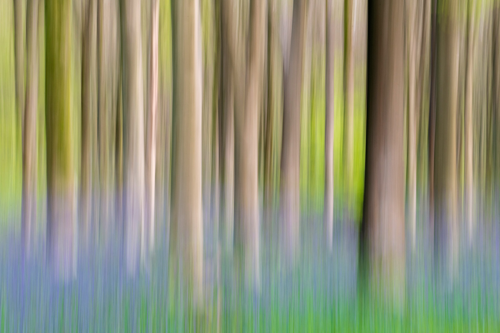 An Introduction to Intentional Camera Movement - Nature TTL