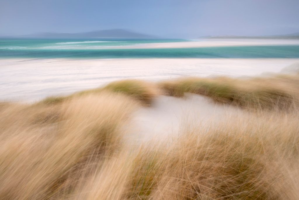 An Introduction to Intentional Camera Movement - Nature TTL