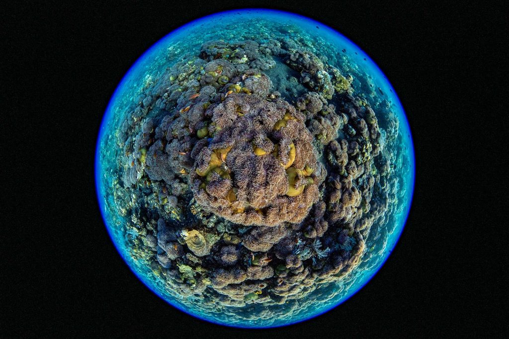 4 Best Canon Fisheye Lens for Photography in 2022