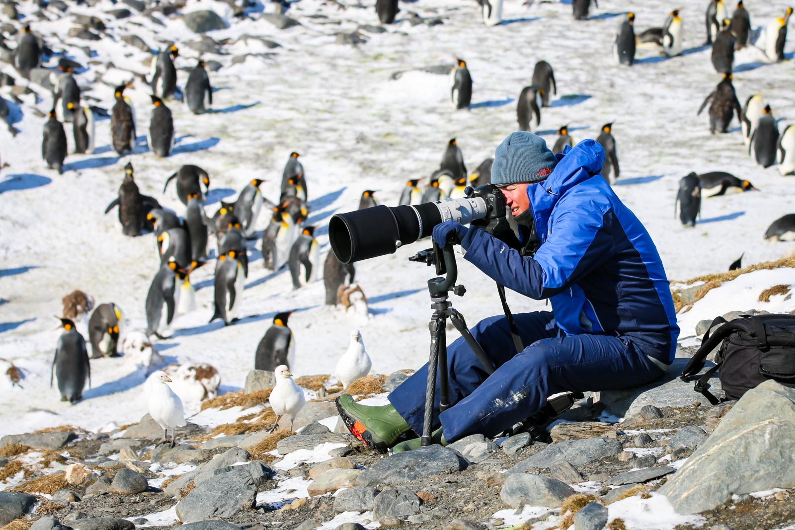 Dennis Stogsdill: Behind the Winning Caracal Image - Nature TTL