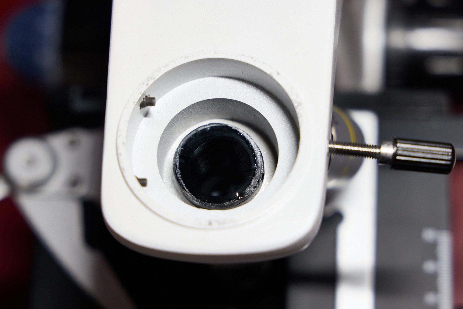 Making and Photographing Crystals With a Microscope - Nature TTL