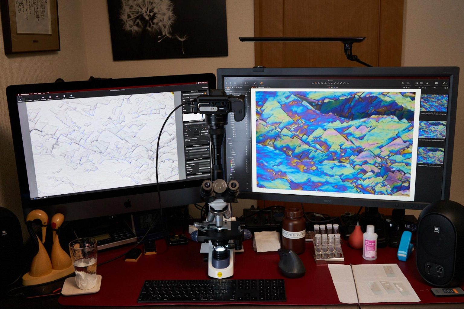 Making and Photographing Crystals With a Microscope - Nature TTL