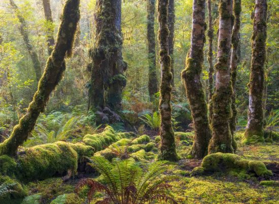 11 Editing Tips to Greatly Improve Your Landscape Photos - Nature TTL