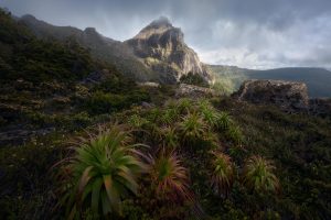 11 Editing Tips to Greatly Improve Your Landscape Photos - Nature TTL