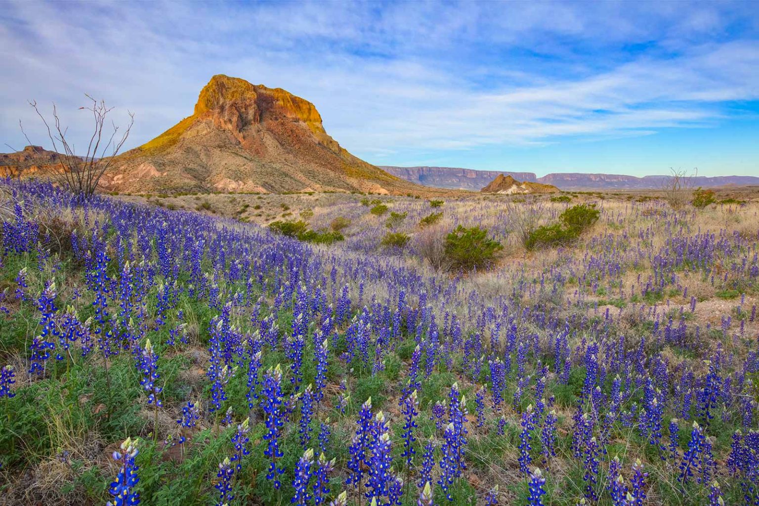 Best Places for Photography in Texas - Nature TTL