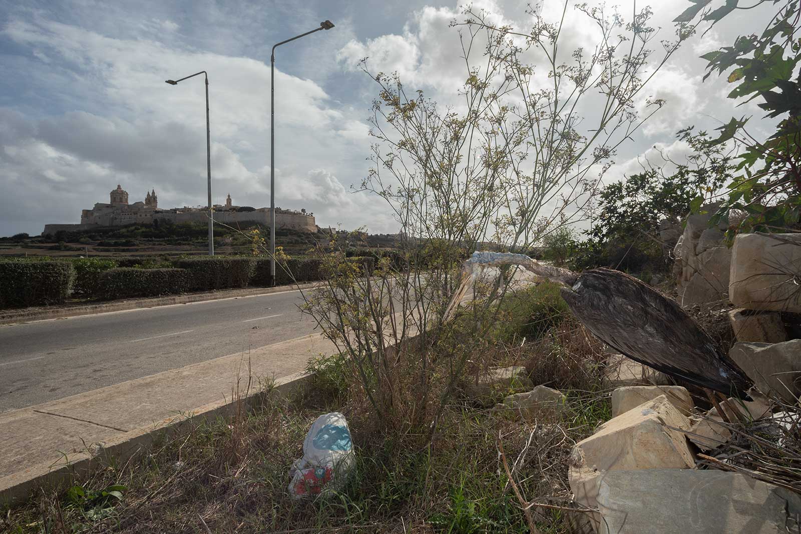 Avian Assassination: A Story of Illegal Hunting in Malta - Nature TTL