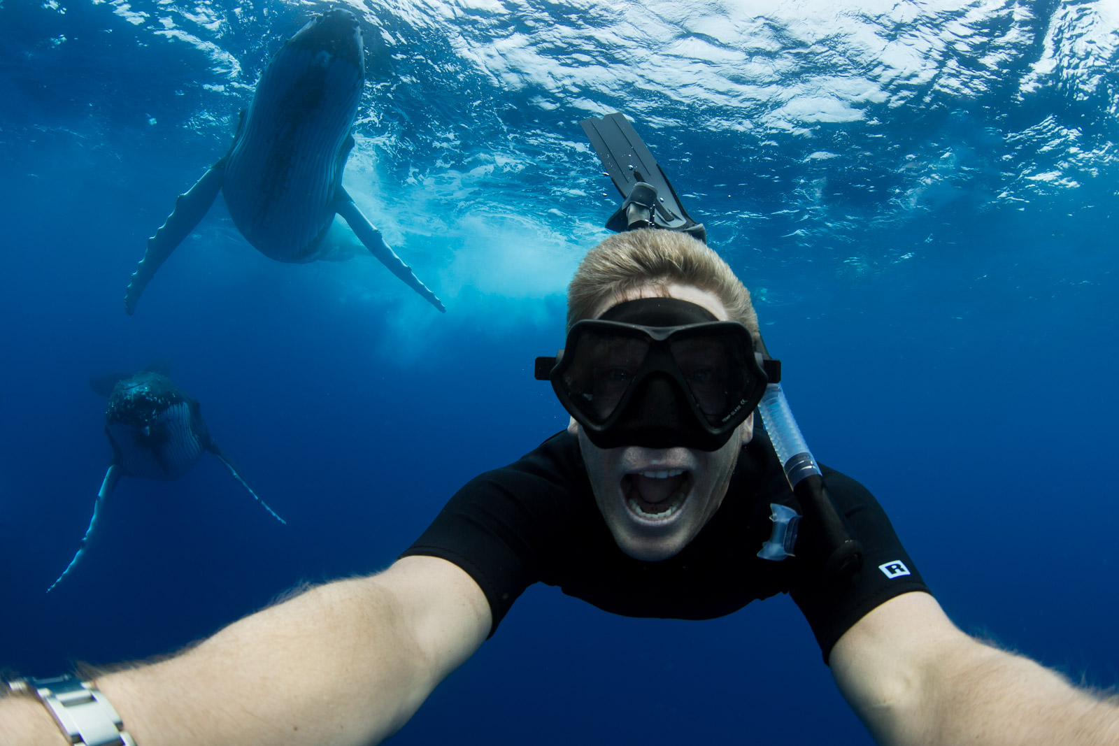 Craig Parry: From Amateur to Professional - Nature TTL