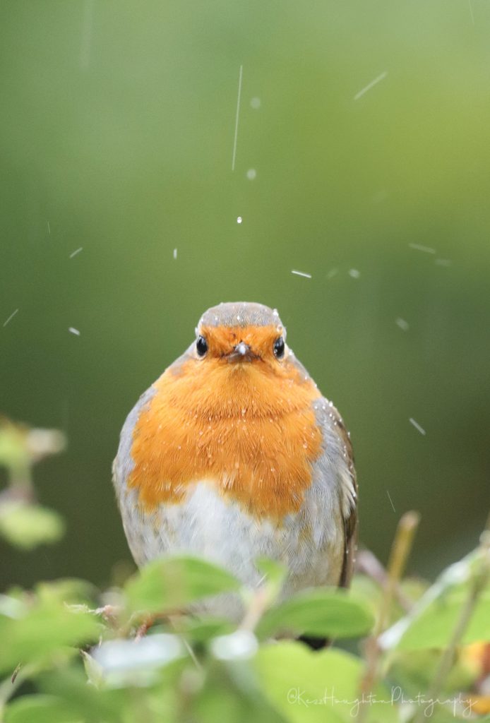 Weekly Photography Assignment: Details - Nature TTL