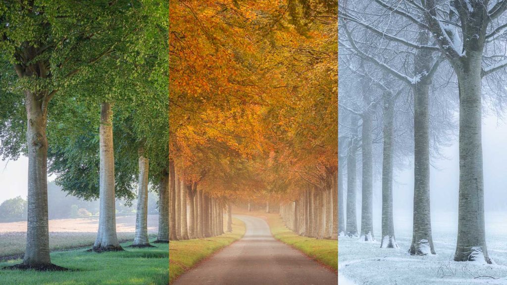 How to Photograph the Seasons - Nature TTL
