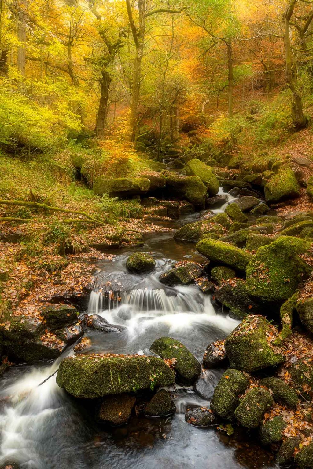 Best Places for Autumn Landscape Photography in the Peak District ...