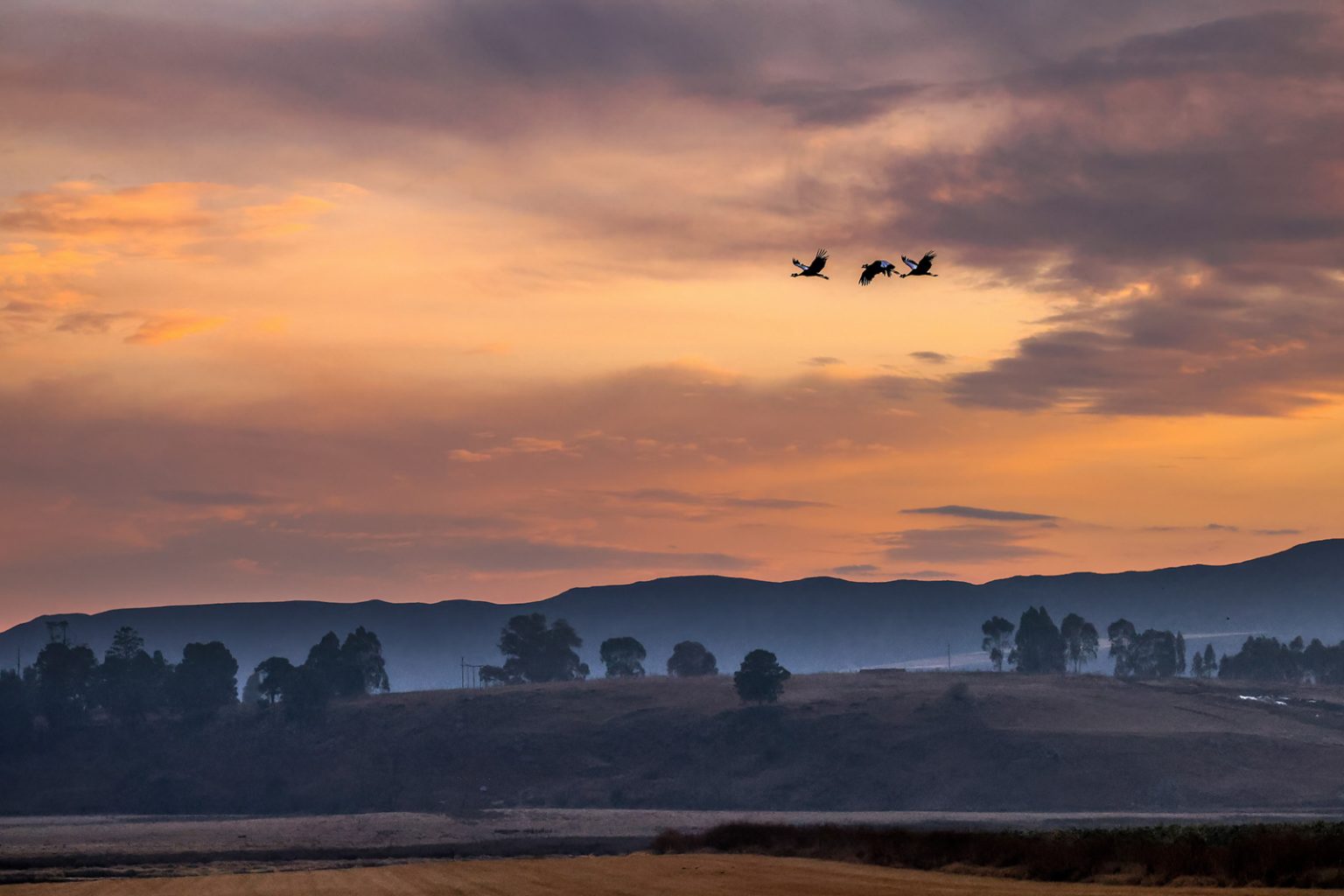 9 Ways to Build Your Confidence in Nature Photography - Nature TTL