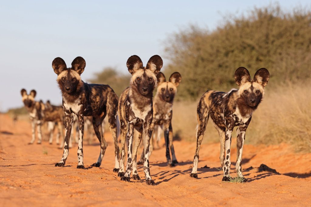 9 Ways to Build Your Confidence in Nature Photography - Nature TTL