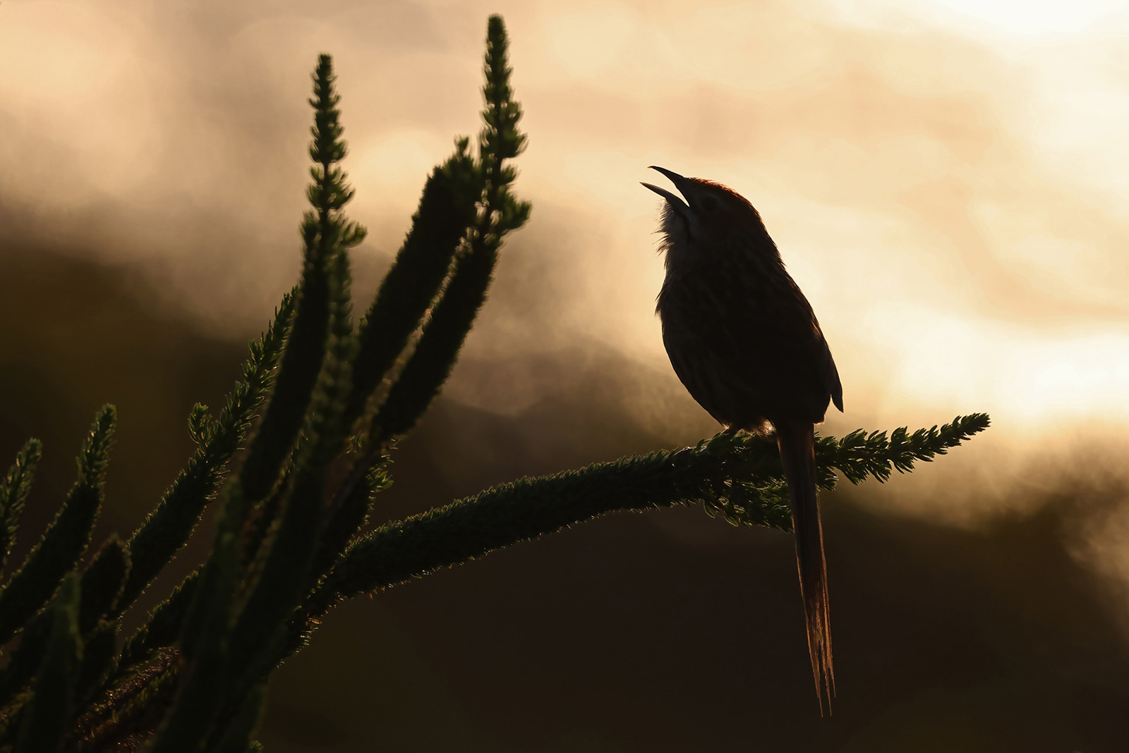 9 Ways to Build Your Confidence in Nature Photography - Nature TTL