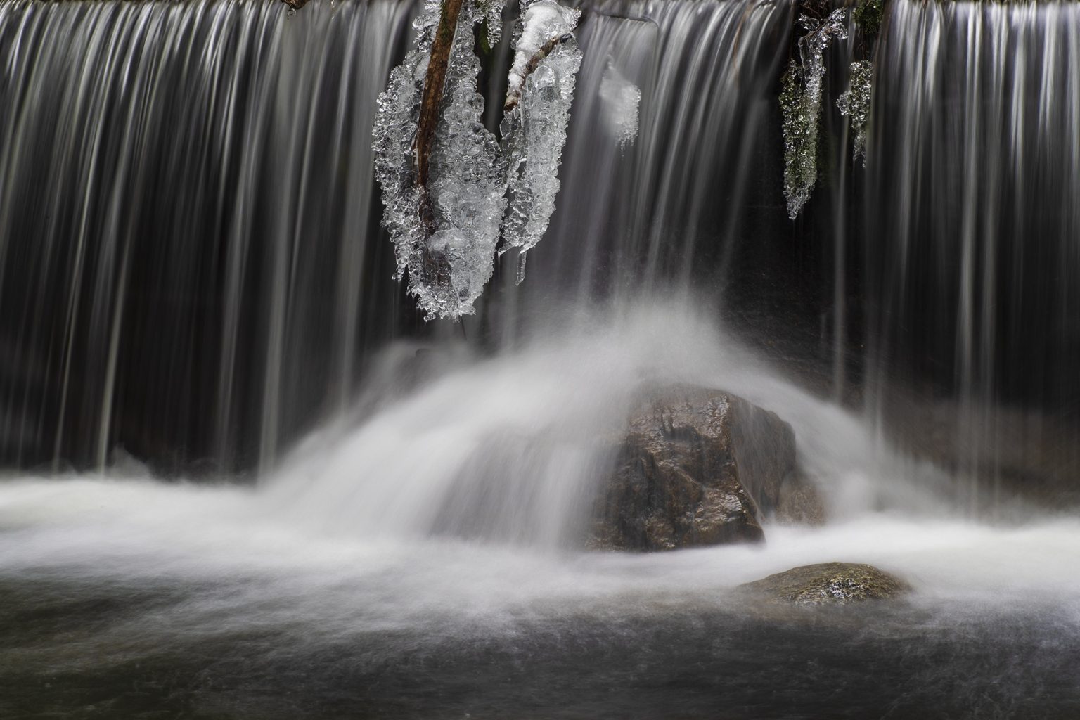 Weekly Photography Assignment: Colour - Nature TTL