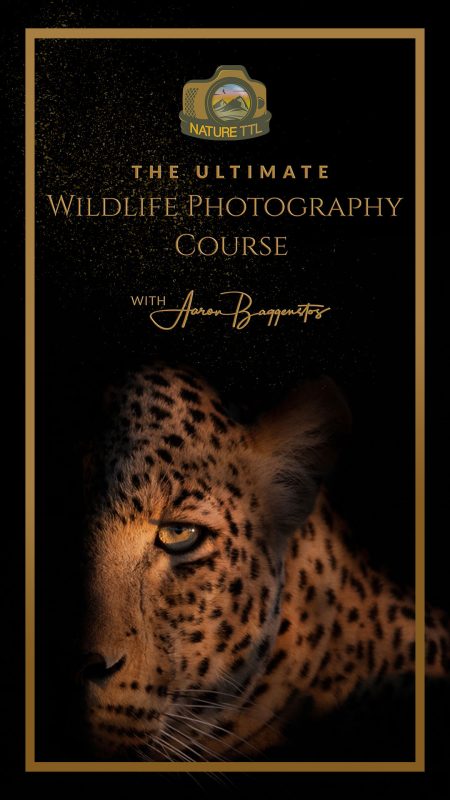 Photography Assignments - Nature TTL