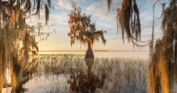Florida Landscape Photography: 8 Best Locations to Shoot