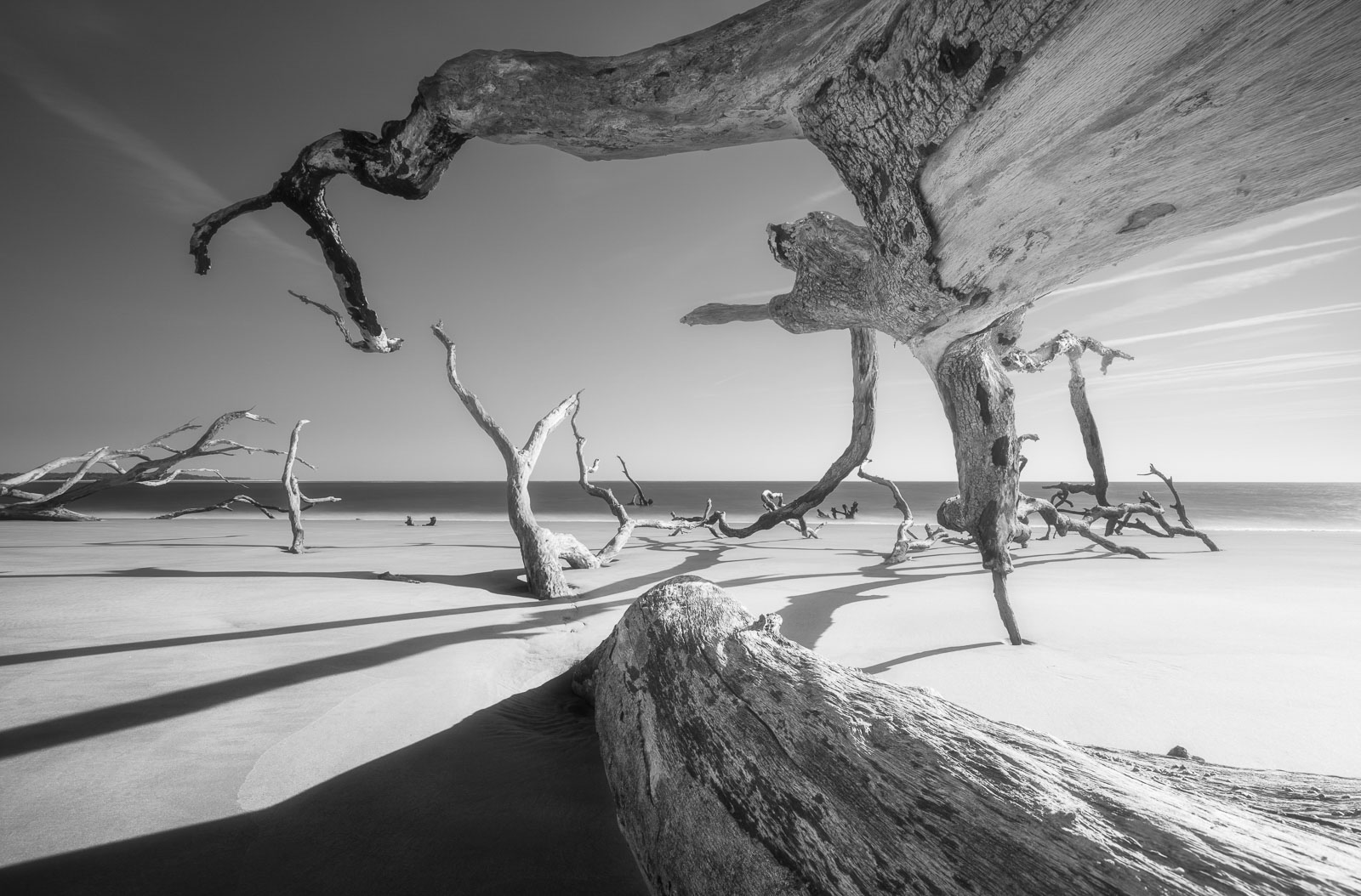 Florida Landscape Photography: 8 Best Locations to Shoot