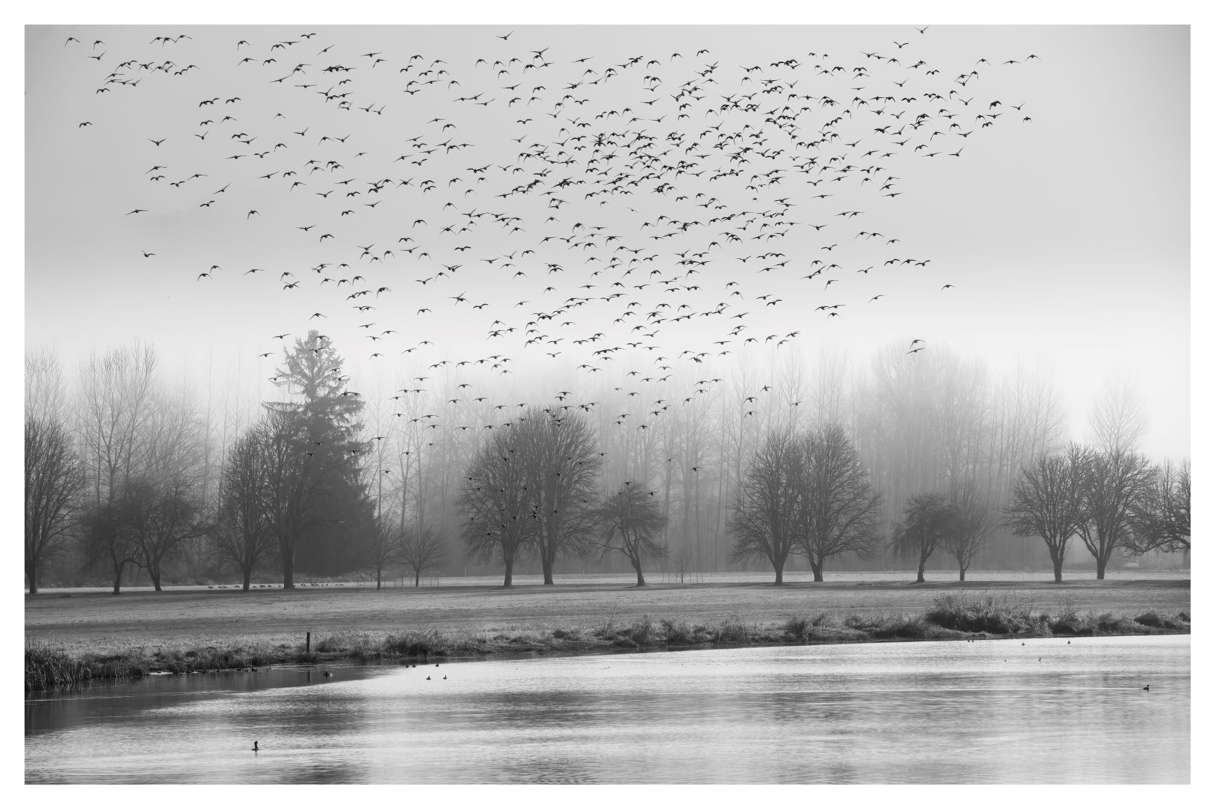 Weekly Photography Assignment: Urban Nature - Nature TTL