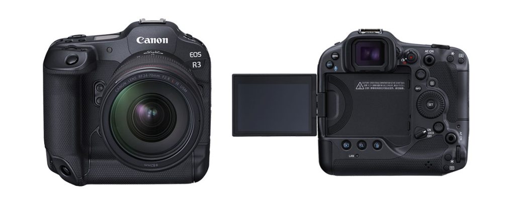 5 Best Canon Cameras for Wildlife Photography in 2024 - Nature TTL