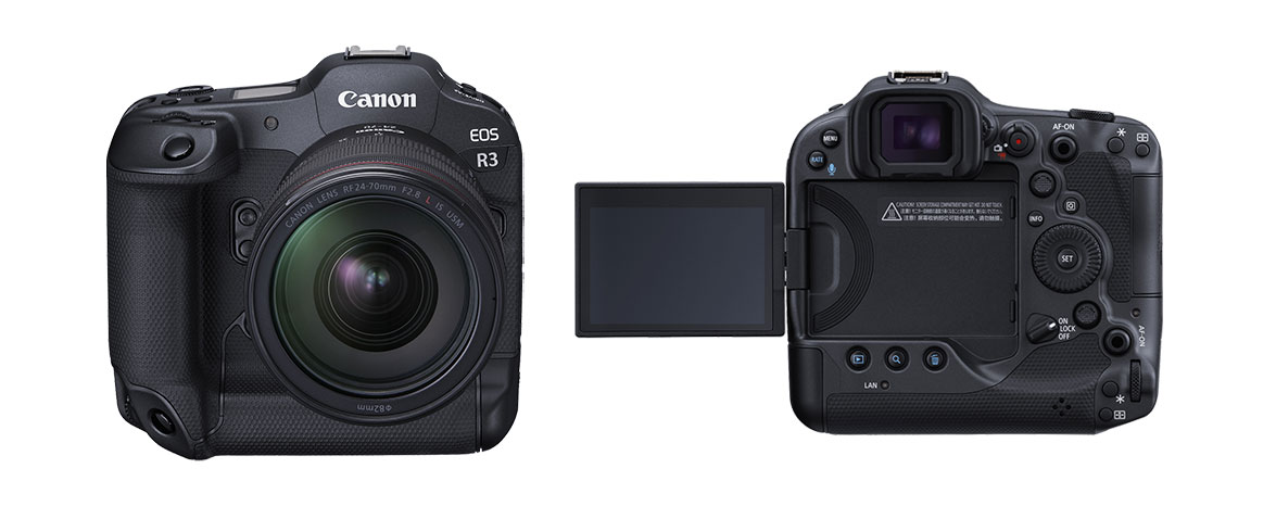 5 Best Canon Cameras for Wildlife Photography in 2024 - Nature TTL