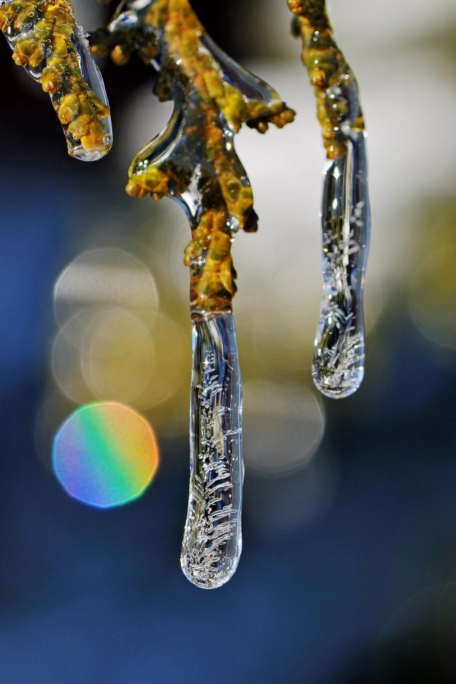 Weekly Photography Assignment: Black and White Landscapes - Nature TTL