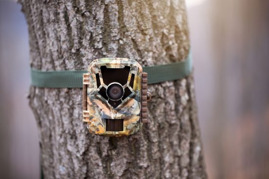 The Best Easy to Use Trail Cameras in 2024 - Nature TTL