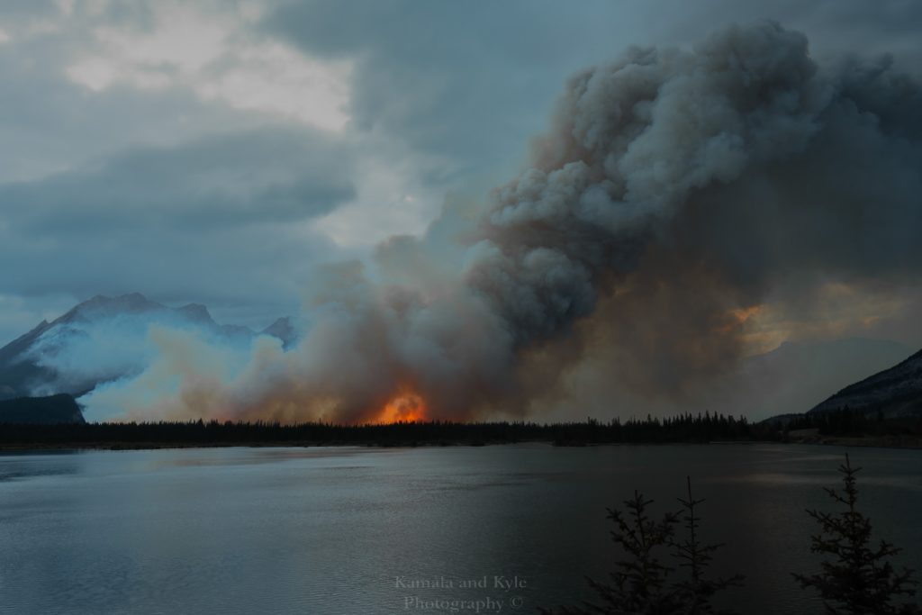 Dramatic Images of Jasper’s Chetamon Wildfire Disaster - Nature TTL
