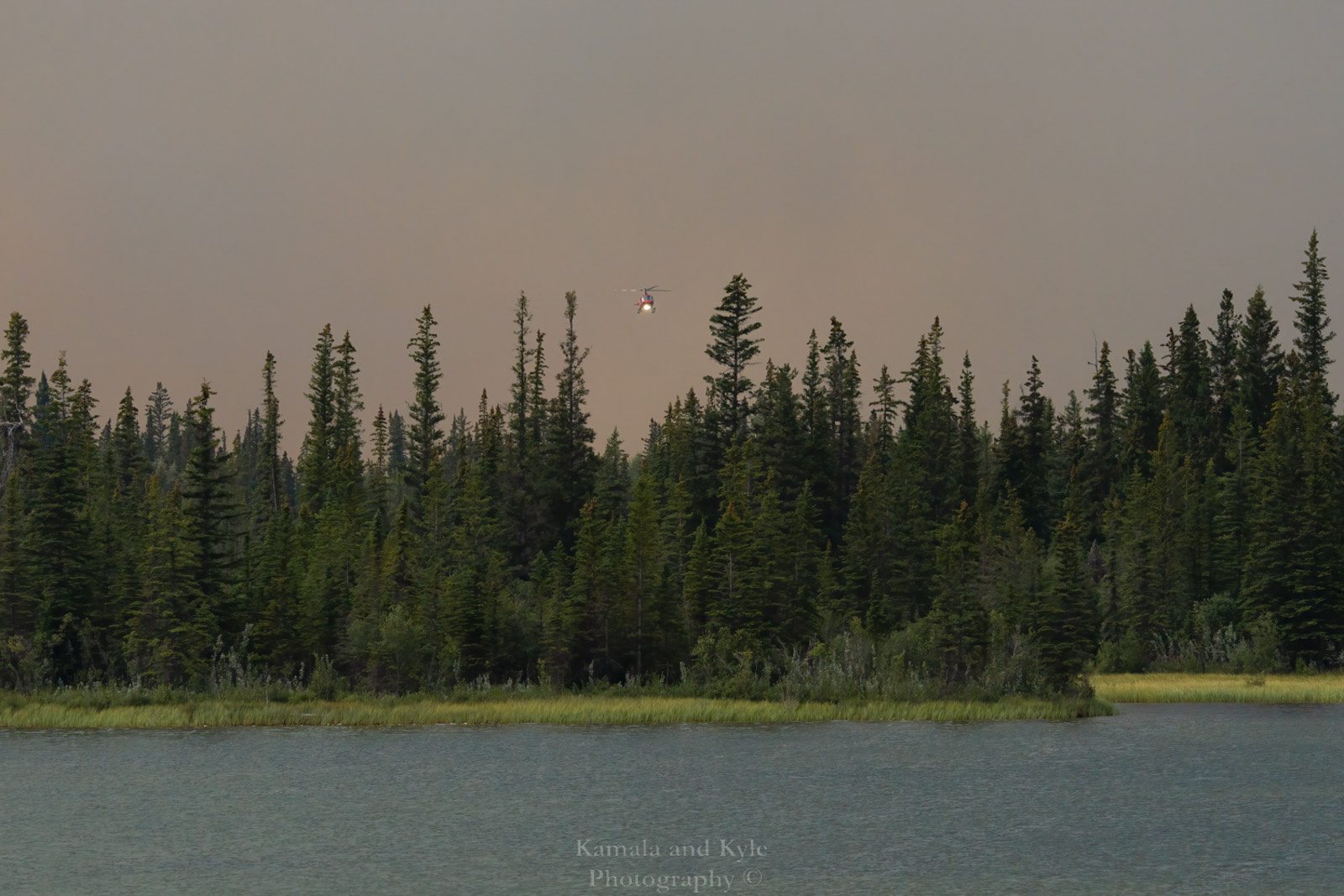 Dramatic Images of Jasper’s Chetamon Wildfire Disaster - Nature TTL