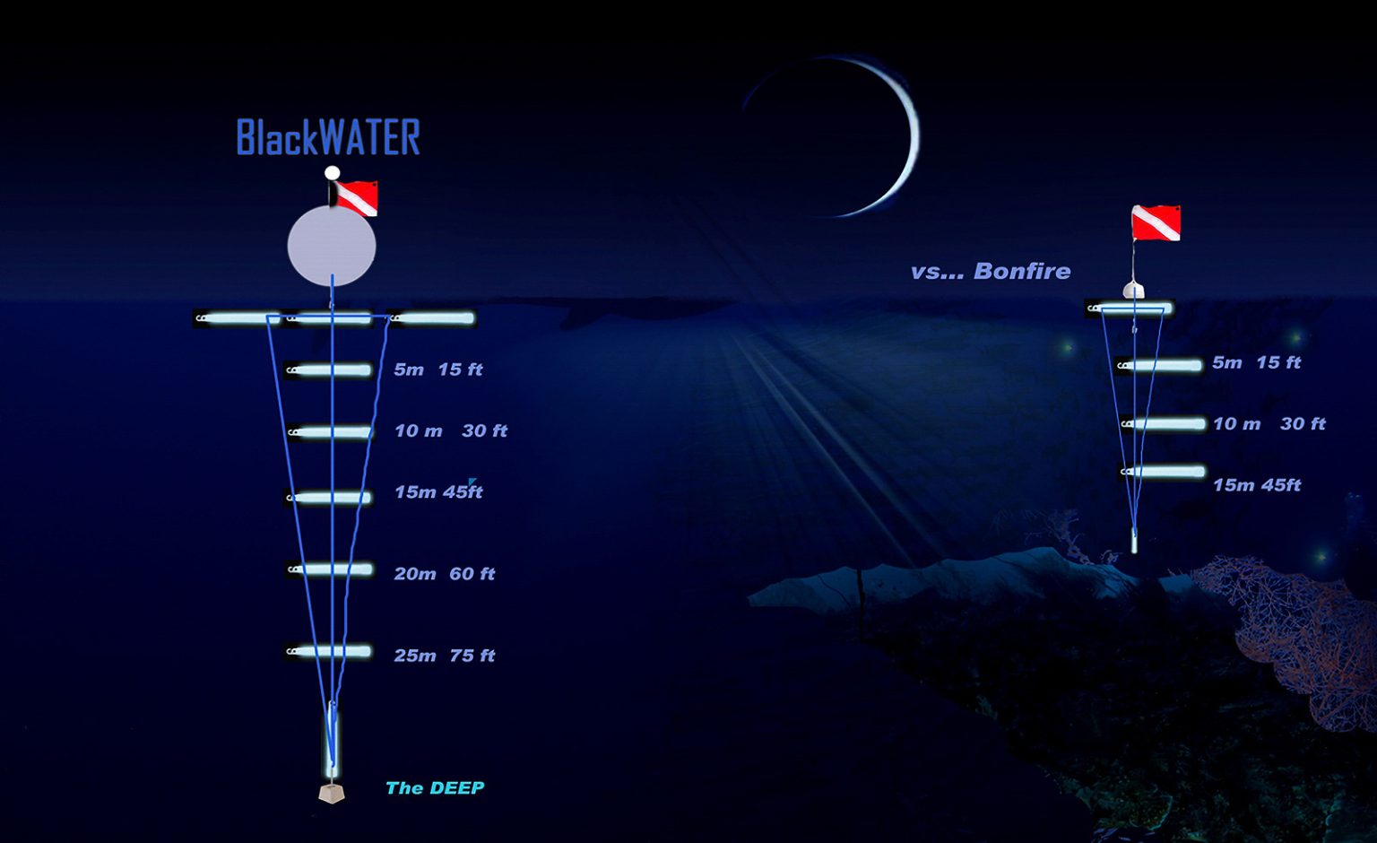 An Introduction to Blackwater Photography - Nature TTL