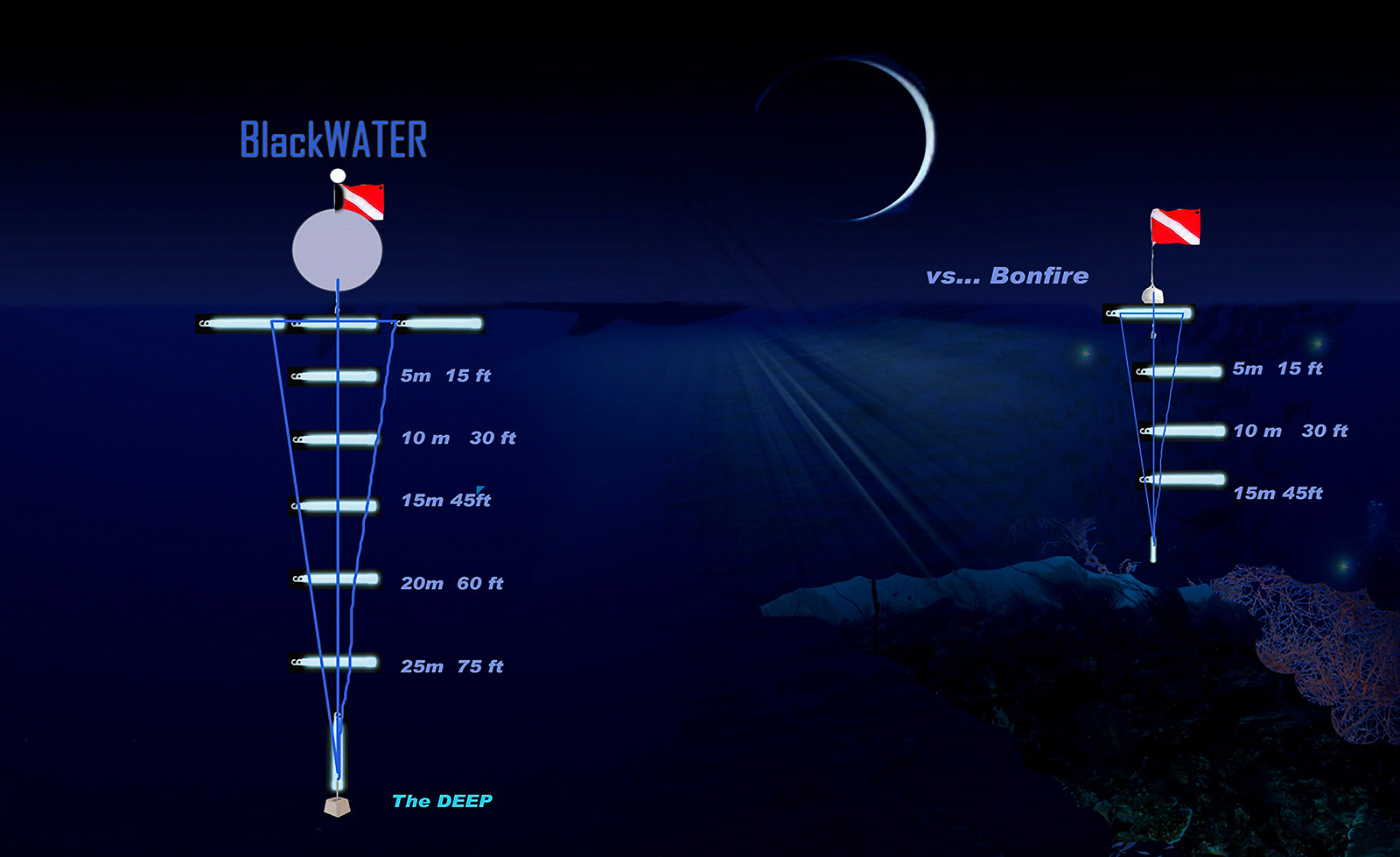 An Introduction to Blackwater Photography - Nature TTL