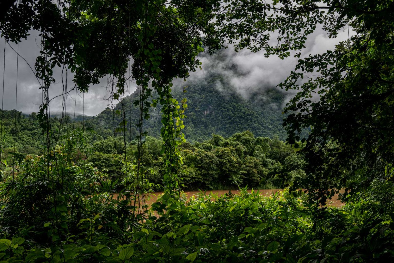 Changing the Future With Conservation Photography - Nature TTL