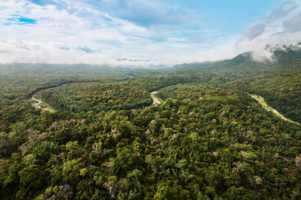 Changing the Future With Conservation Photography - Nature TTL