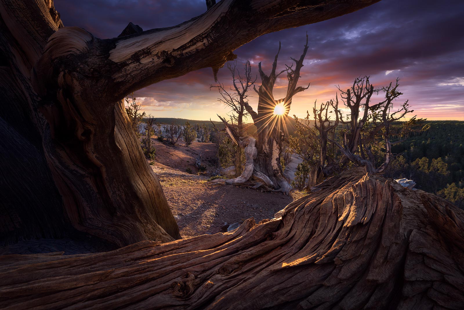 Fine Art Landscape Photography Guide - Nature TTL