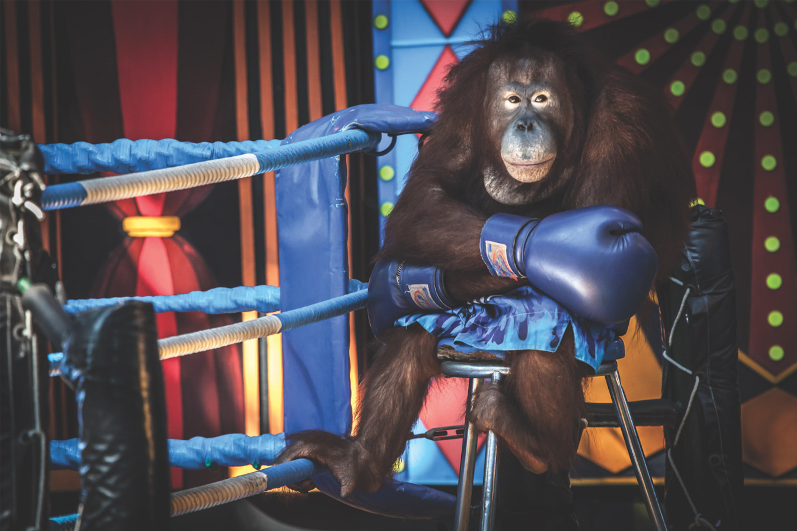 Aaron Gekoski: What It Takes to Be a Photojournalist - Nature TTL